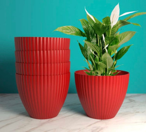 Nursery Hub (Pack of 5 with Bottom Plate) Premium flower pots Planters ...