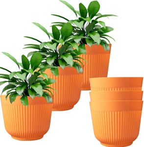 Urban Infotech 12 inch Flower Pot Indoor Outdoor Gardening Gamley for ...