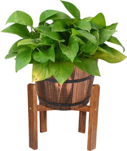 Numberdaar Crafts WOODEN FLOWER POT STAND/GAMLA STAND/FOLDABLE/POT NOT ...