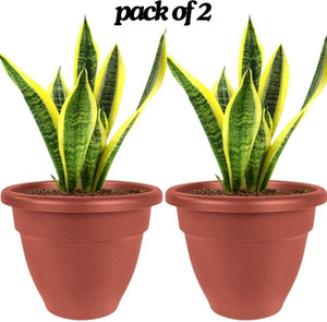 Urban Infotech 18 Inch Red Gamla Plastic Planters Big Size Flower Pot ...