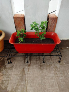 VINSHRA Rectangular Plastic Planter with plate 20 inch pcs 3 Heavy Duty ...