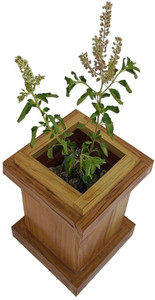TEAKWOODKART Teakwood's handcrafted Tulsi Vrindavan/ Kayari/ Planter ...