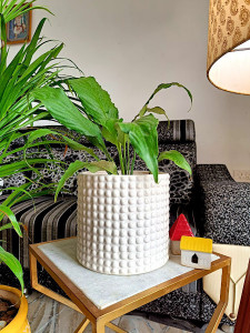 Niyara White Doted Design Stylish Big Ceramic Pots Planters for ...