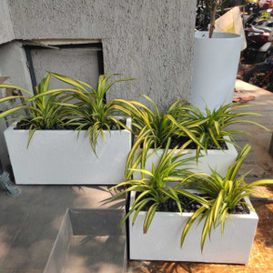 craftter Extra Large Rectangle Shape White Color Fiberglass Planters ...