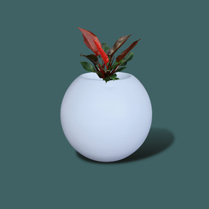 Laxita Round Fibreglass (FRP) Planter,White Matt Finished ,Size:13"Wx12 ...