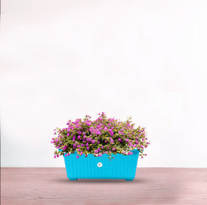VINSHRA Rectangular Flower Pot/ Planters for Home Decor/ Pots Pot 13 ...