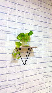 Osier Plant Stand Rustic Floating Shelves for Houseplants Herbs, Wood ...