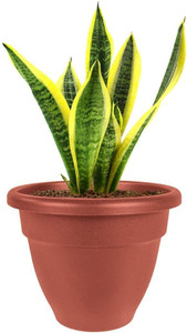 TechBlaze by NA 18 Inch Plastic Planters Big Size Flower Pot Stylish ...