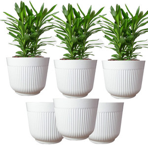 Urban Infotech 12 Inch Big Size Plastic Flower Pot For Indoor Outdoor ...