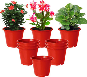 KUBER INDUSTRIES Durable Plastic Flower Pot|Gamla With Drain Holes,6"x5 ...
