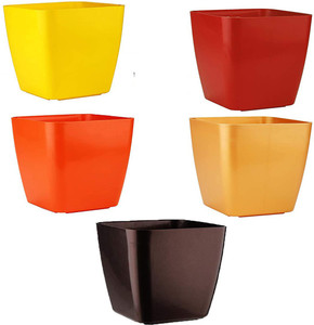 BLACKBEE Follower Pots 4 inches Multicolored, Pack of 6 Beautiful ...