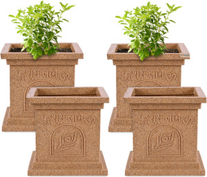 HOMESTIC by Kuber Industries Pack of 4 Plastic Tulsi Mancha Gamla ...
