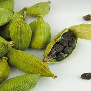 Cloud Farm Elaichi/Cardamom Plant Price in India - Buy Cloud Farm ...