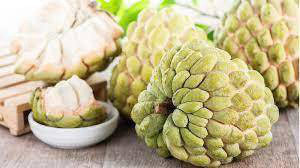 QUEEEN GULU Custard Apple Plant Price in India - Buy QUEEEN GULU ...