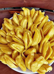 Earth Angels Jackfruit Plant Price in India - Buy Earth Angels ...