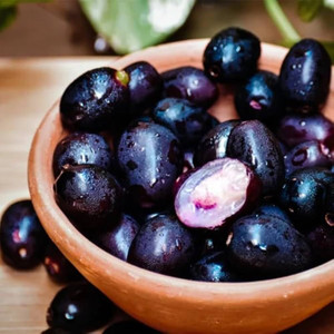 Cloud Farm Jamun Plant Price in India - Buy Cloud Farm Jamun Plant ...