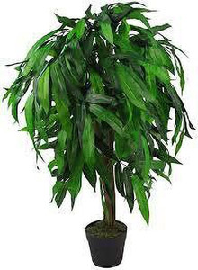 YADRA Mango Plant Price in India - Buy YADRA Mango Plant online at ...