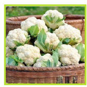 syngenta Cauliflower Price in India - Buy syngenta Cauliflower online ...