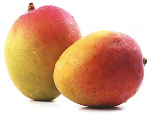 Earth Angels Mango Plant Price in India - Buy Earth Angels Mango Plant ...