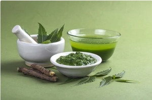 Green view Neem Plant Price in India - Buy Green view Neem Plant online ...