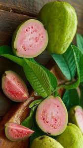 Fulmala Nursery Guava Plant Price in India - Buy Fulmala Nursery Guava ...