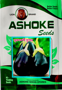 ASHOKE Seeds MUKTOKESHI BRINJAL SUPER SEEDS For Home Gardens Farms Best ...