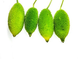 VibeX Summer Vegetable Kantola/Spiny Gourd Seeds[50 Gms, 250 Seeds ...
