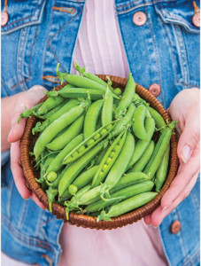 MYLAWN (मटर के बीज) (Matar) Peas Seeds Seed Price in India - Buy MYLAWN ...