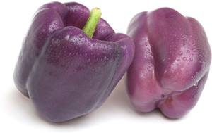 VibeX ® VMR-383 Capsicum Purple / Bell Papper F1 Hybrid Seeds Seed ...