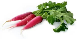 MAA Radish Red, Muli Seed Price in India - Buy MAA Radish Red, Muli ...