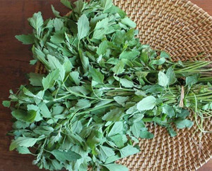 Gromax India Fresh Bathua Saag Vegetable Seed 100% Germination, For ...