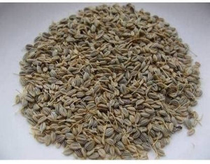 MAA Parsley Seed Price in India - Buy MAA Parsley Seed online at ...