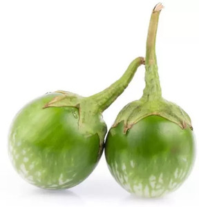 Aro Brinjal Green round, Brinjal, Eggplant Seed Price in India - Buy ...