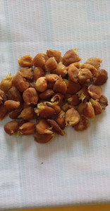 Mahuaa Flawar mahuaa Seed Price in India - Buy Mahuaa Flawar mahuaa ...