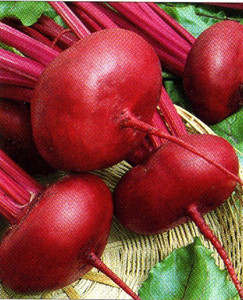 MYLAWN Beetroot Seeds, chukandar Ke Beej Seed Price in India - Buy ...