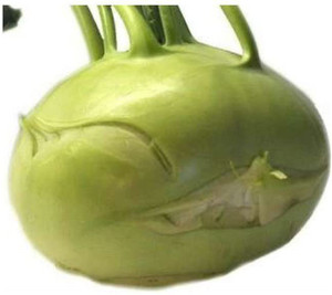 KANAYA Knol Khol Vegetable Fresh Hybrid Seed Price in India - Buy ...