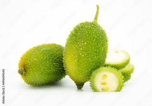 Arshiayat Hybrid Kantola seeds, Hybrid kakoda seeds, Spiny Gourd Seed ...