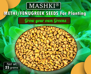 MASHKI Methi Dana / Fenugreek Seeds / Vendhayam Seeds For Planting ...