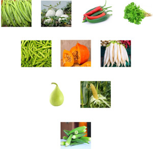 PERUSI ENTERPRISES Vegetable Seeds Combo Pack for Home Gardening ...