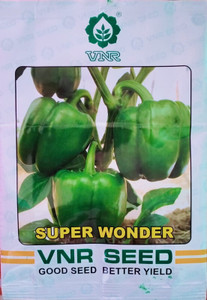 Arshiayat Vnr Super Wonder Capsicum Seed Price in India - Buy Arshiayat ...