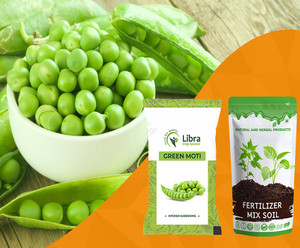 NATURAL AND HERBAL PRODUCTS Pea Seeds for Farming | Pisum Sativum ...