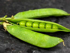MYLAWN (Matar) Peas Seeds (मटर के बीज) Seed Price in India - Buy MYLAWN ...
