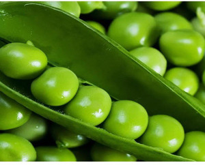 MYLAWN Green Peas Matar Seed Price in India - Buy MYLAWN Green Peas ...