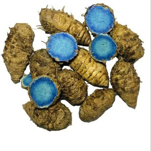 iva Black Turmeric, Karumanjal, Kali Haldi, Curcuma Caesia Seed 250g ...