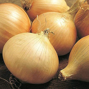 VibeX ® VMR-785 Cream Onion Vegetable Seeds for Planting Seed Price in ...