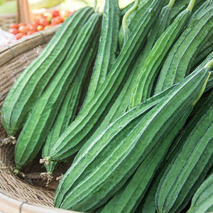 KNESSiN Organic Ridge Gourd Seeds Dodka Peerkangai -[10gm] Seed Price ...