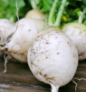 MYLAWN Turnip Egg white Seed Price in India - Buy MYLAWN Turnip Egg ...