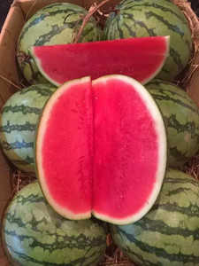 Farmonix Sweet Watermelons Fruit Seed Price in India - Buy Farmonix ...