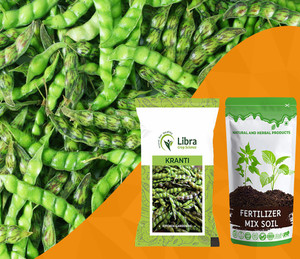 NATURAL AND HERBAL PRODUCTS Pigeon Pea for Planting | Tur | Tuver ...