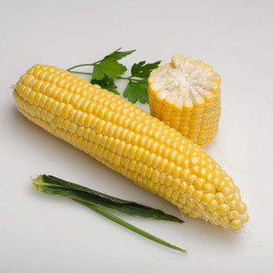 VibeX GBPUT-27 - Sugar Sweet Corn - (250 Seeds) Seed Price in India ...